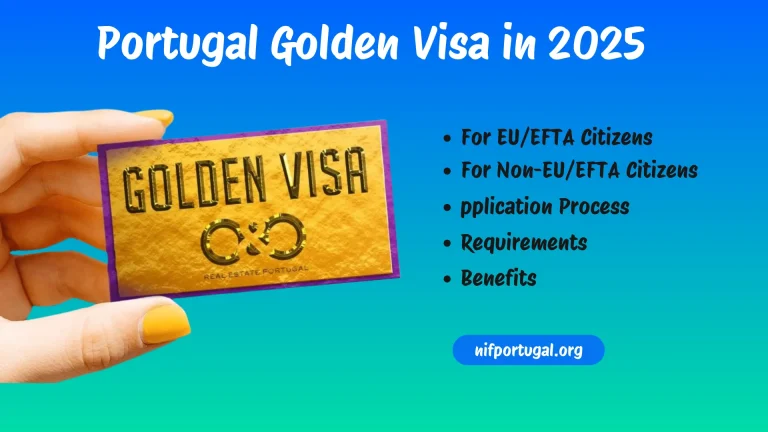 All Types of Visas for Portugal in 2025? Which One You Should Get?